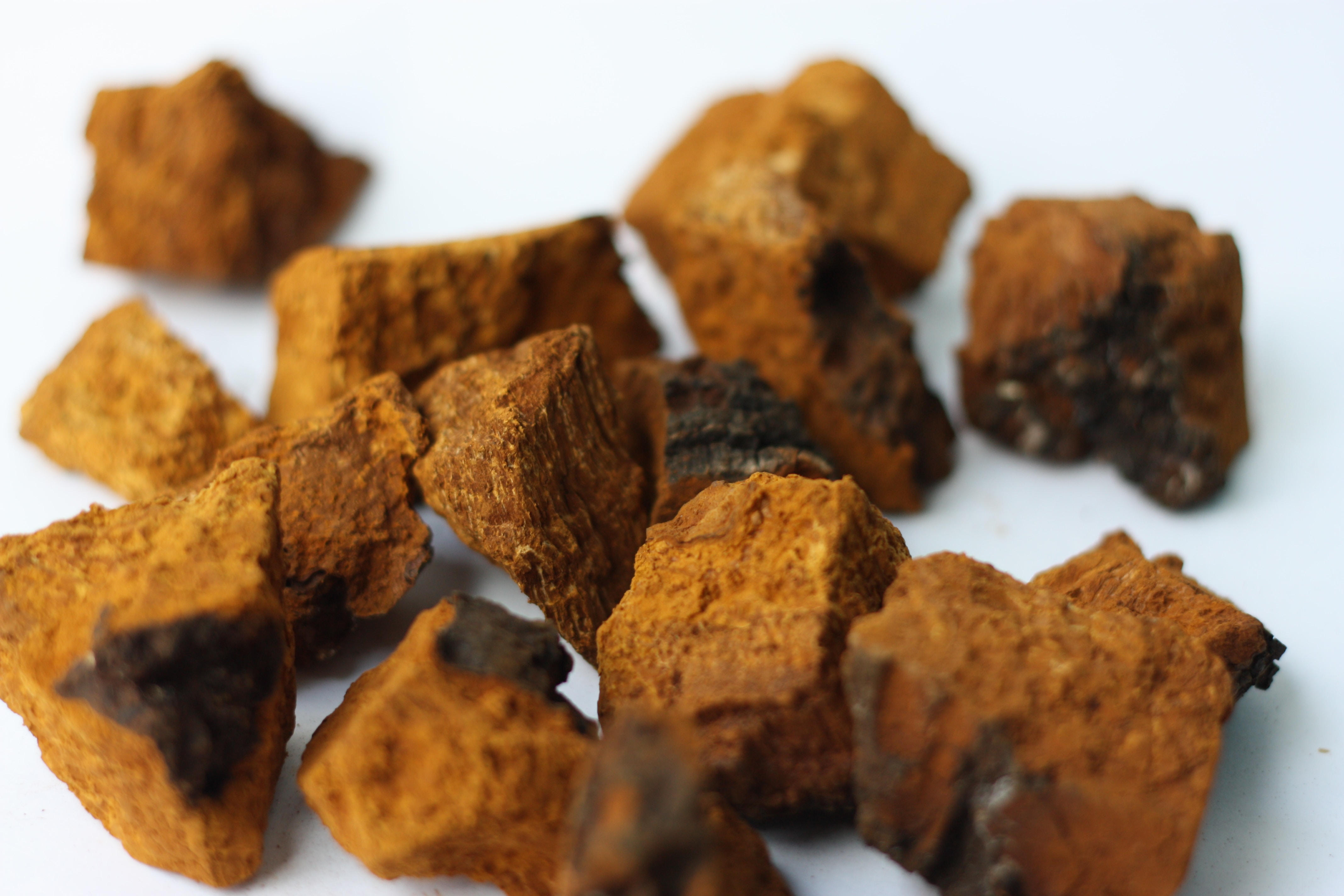 How to Use Chaga Mushrooms in Your Cooking and Everyday Life - Foraged ...