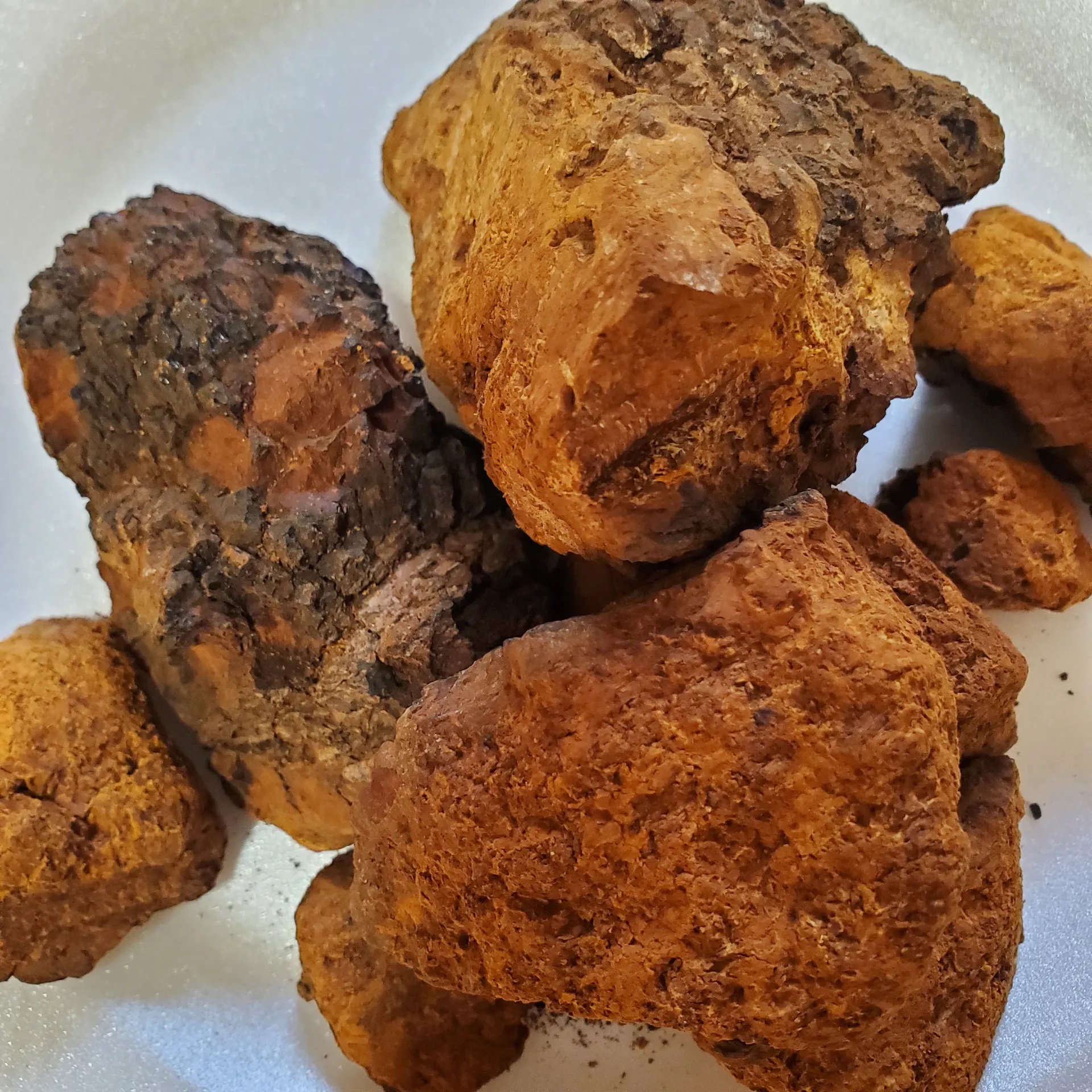 The Art of Infusion: How to Make Chaga Tea for Maximum Benefits ...