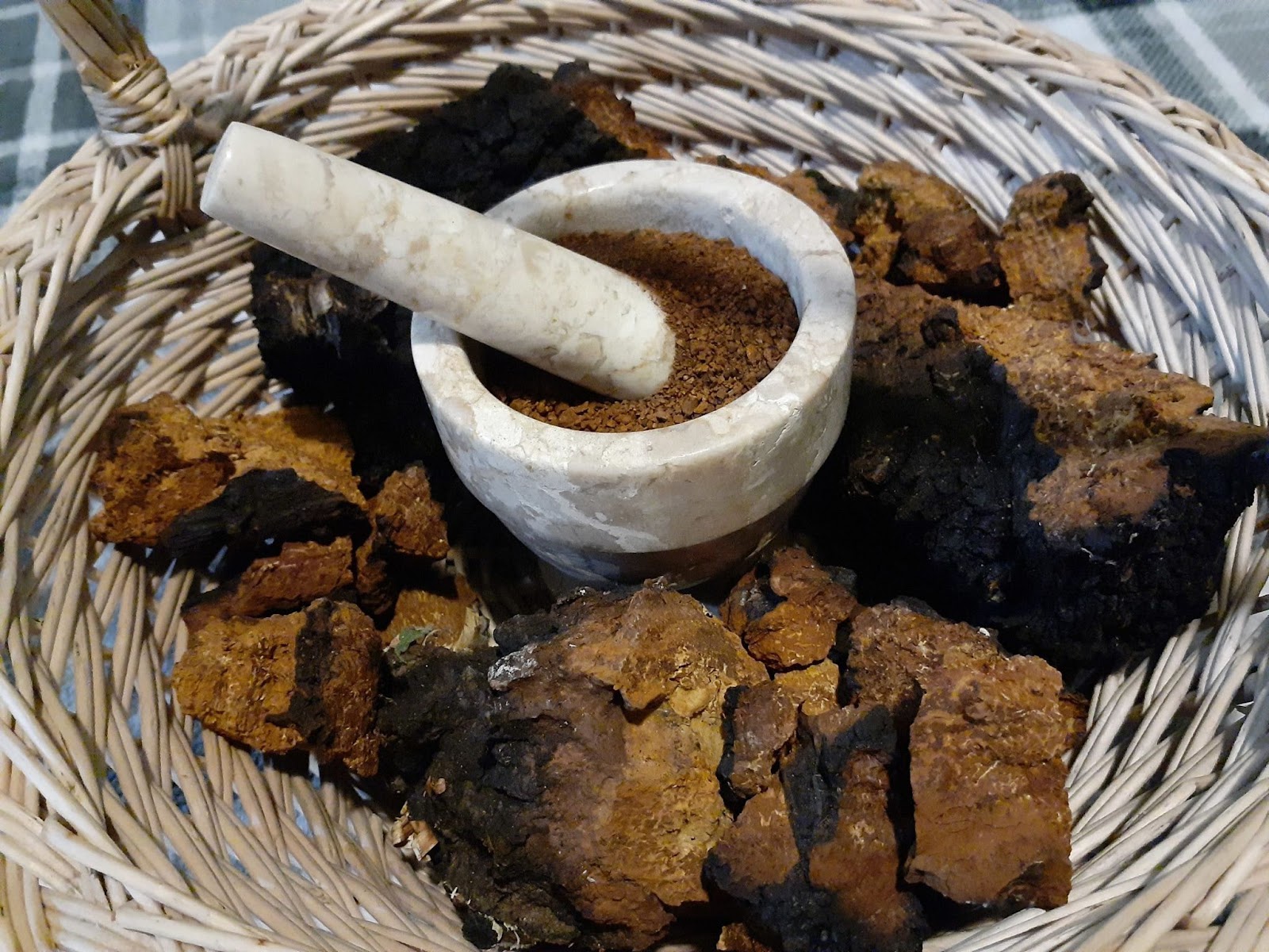 Selling Food Online with Foraged - Foraged - Foraged