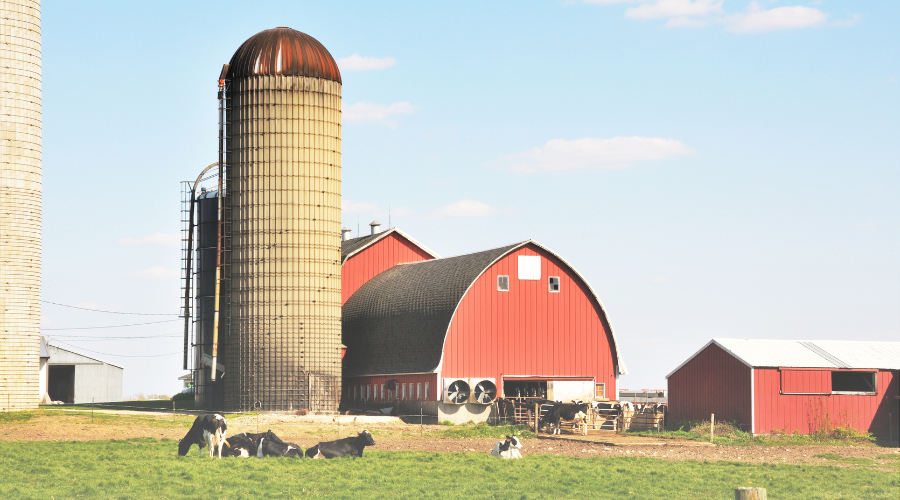 Top 5 Profitable Small Farm Ideas for Maximum Success - Foraged - Foraged