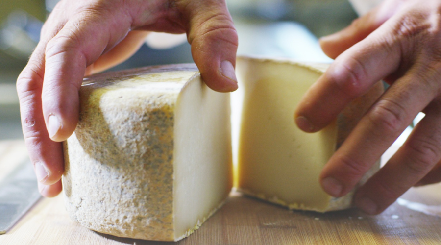 5 Creative Marketing Tactics for Your Cheese Business | Stand Out in ...