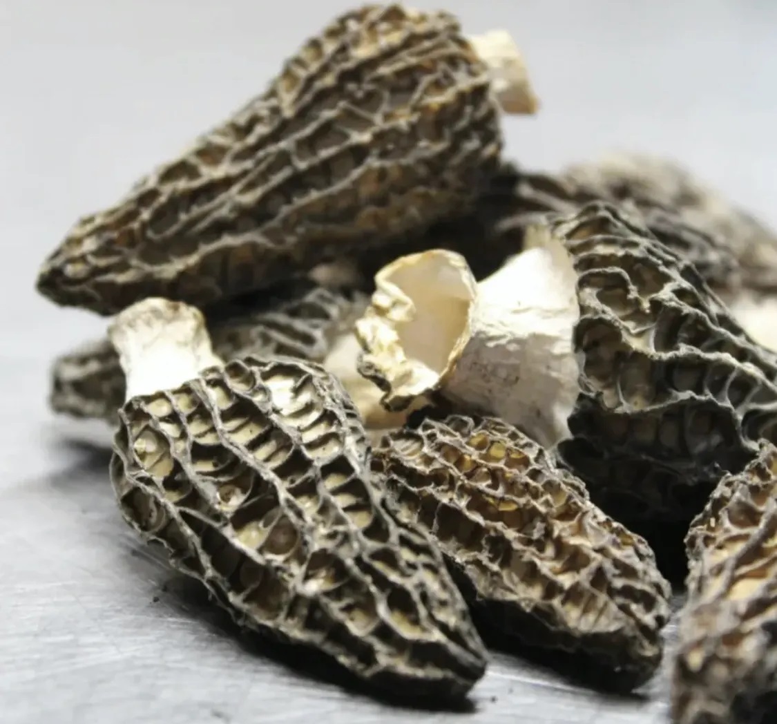 What Does a Morel Mushroom Look Like? - Foraged - Foraged