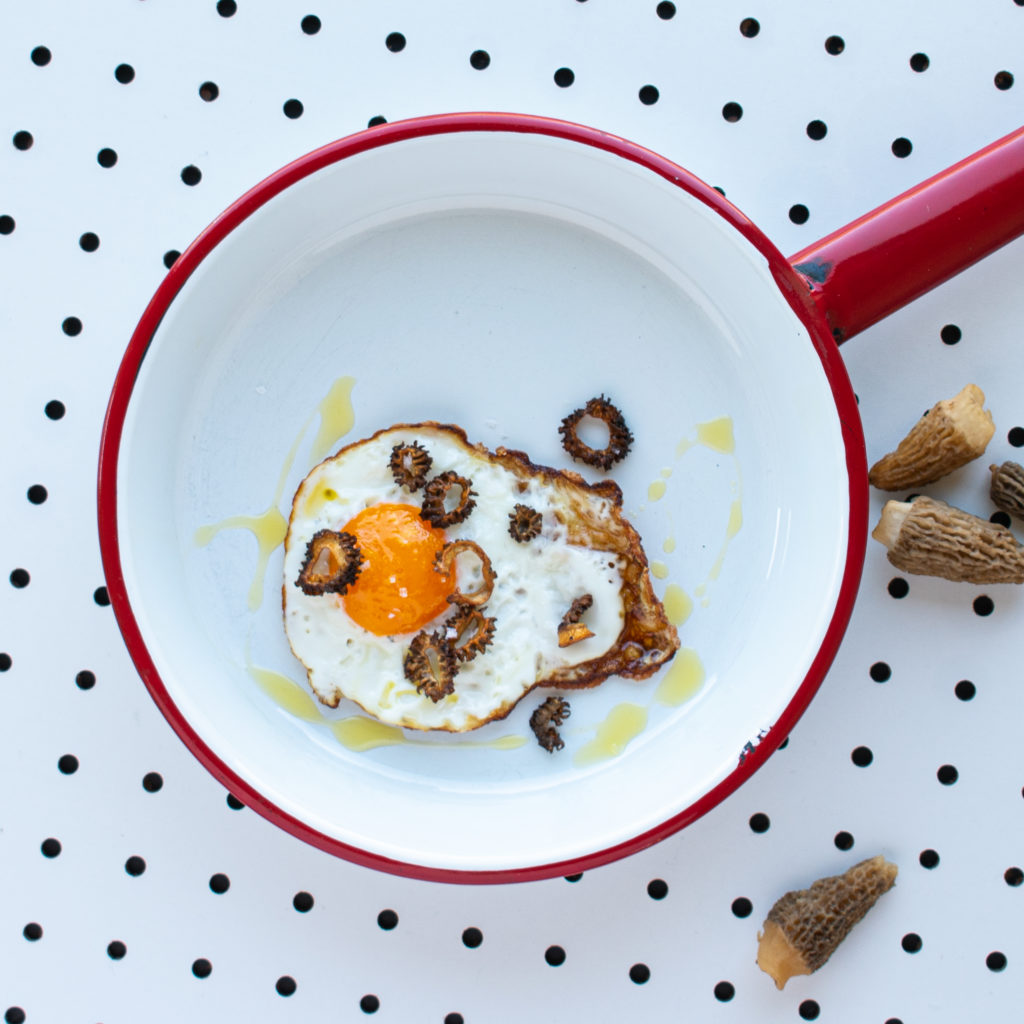 Delicious and Easy-to-Make Morel Mushroom Recipes - Foraged - Foraged