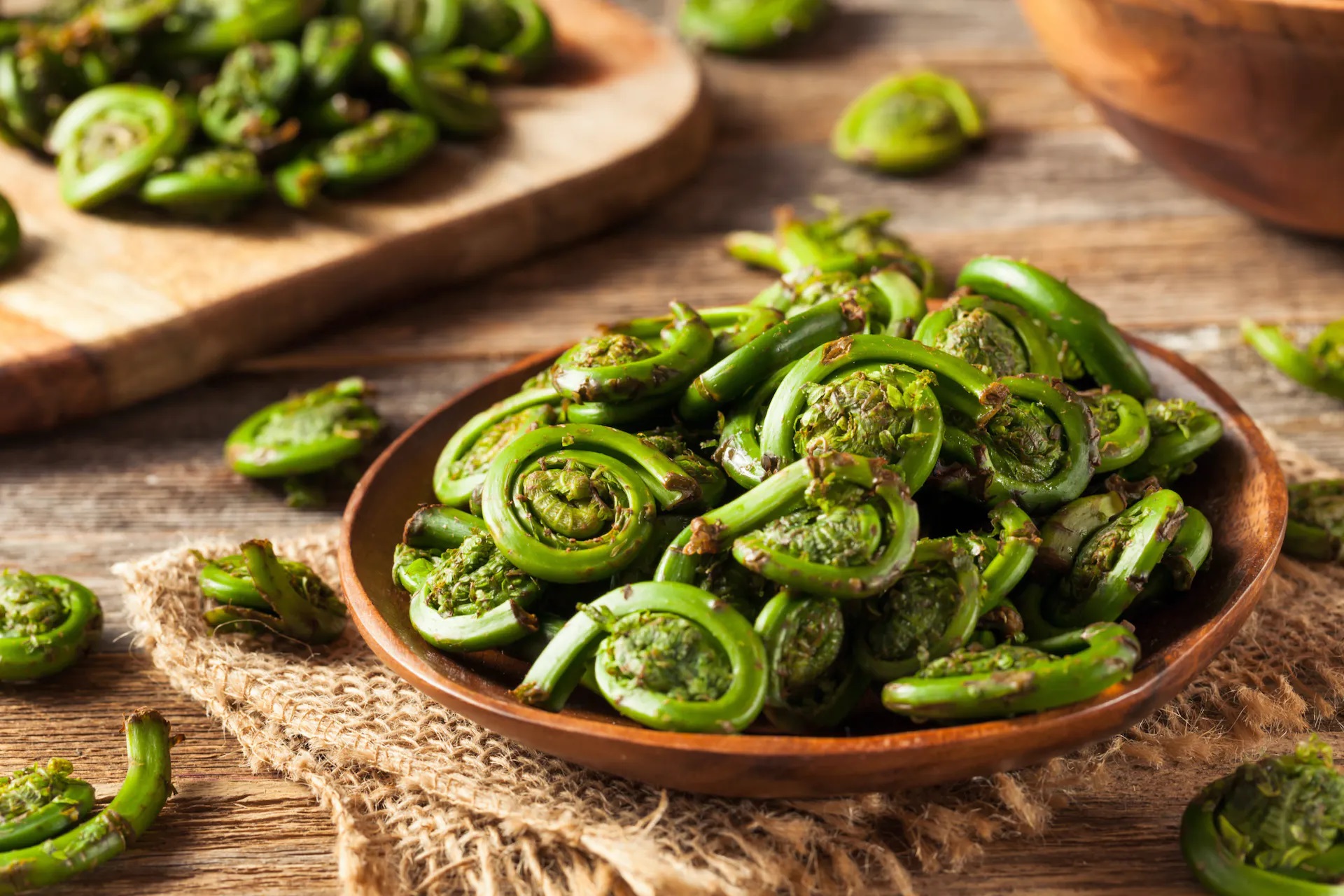 Fiddleheads and Their Unique Place in Culinary History - Foraged - Foraged
