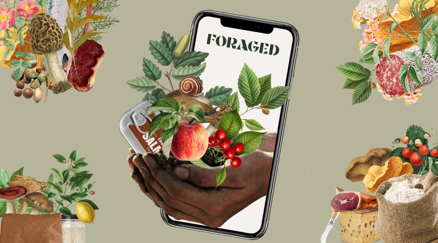 How To Sell Food Online - Foraged - Foraged