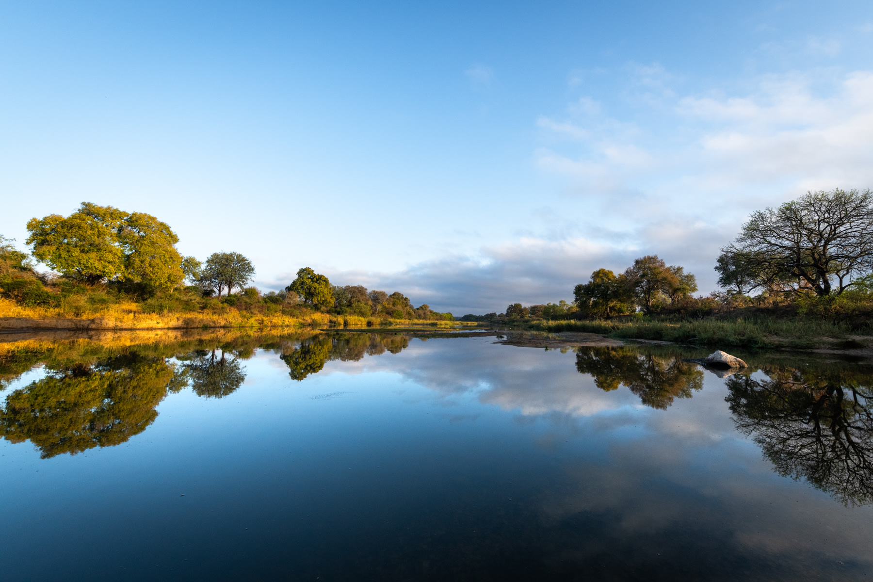 Singita Sabi Sand, South Africa | Wildlife Safari Region | Singita