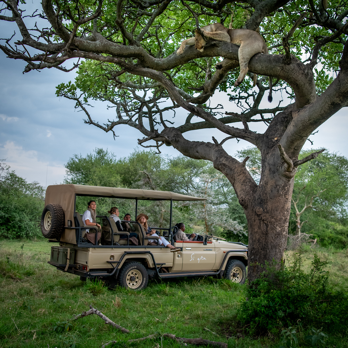 Milele Luxury Lodge & Safari | Grumeti | Singita