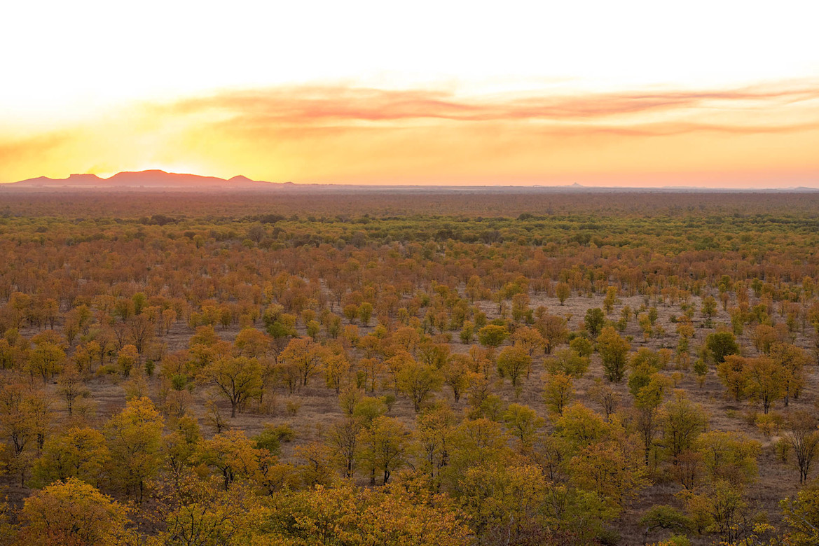 Finding true wellbeing in Singita’s restorative spaces | Singita