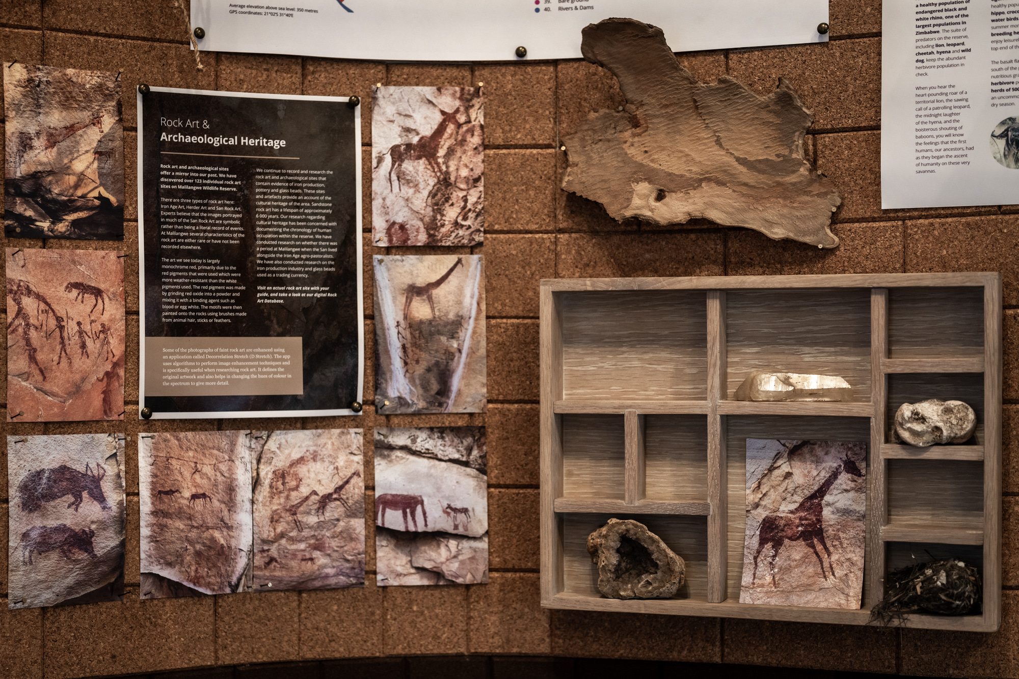 Telling Singita Malilangwe's story – our new Conservation Room in ...