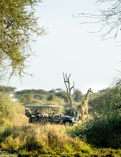 Malilangwe House Luxury Lodge & Safari | Malilangwe | Singita