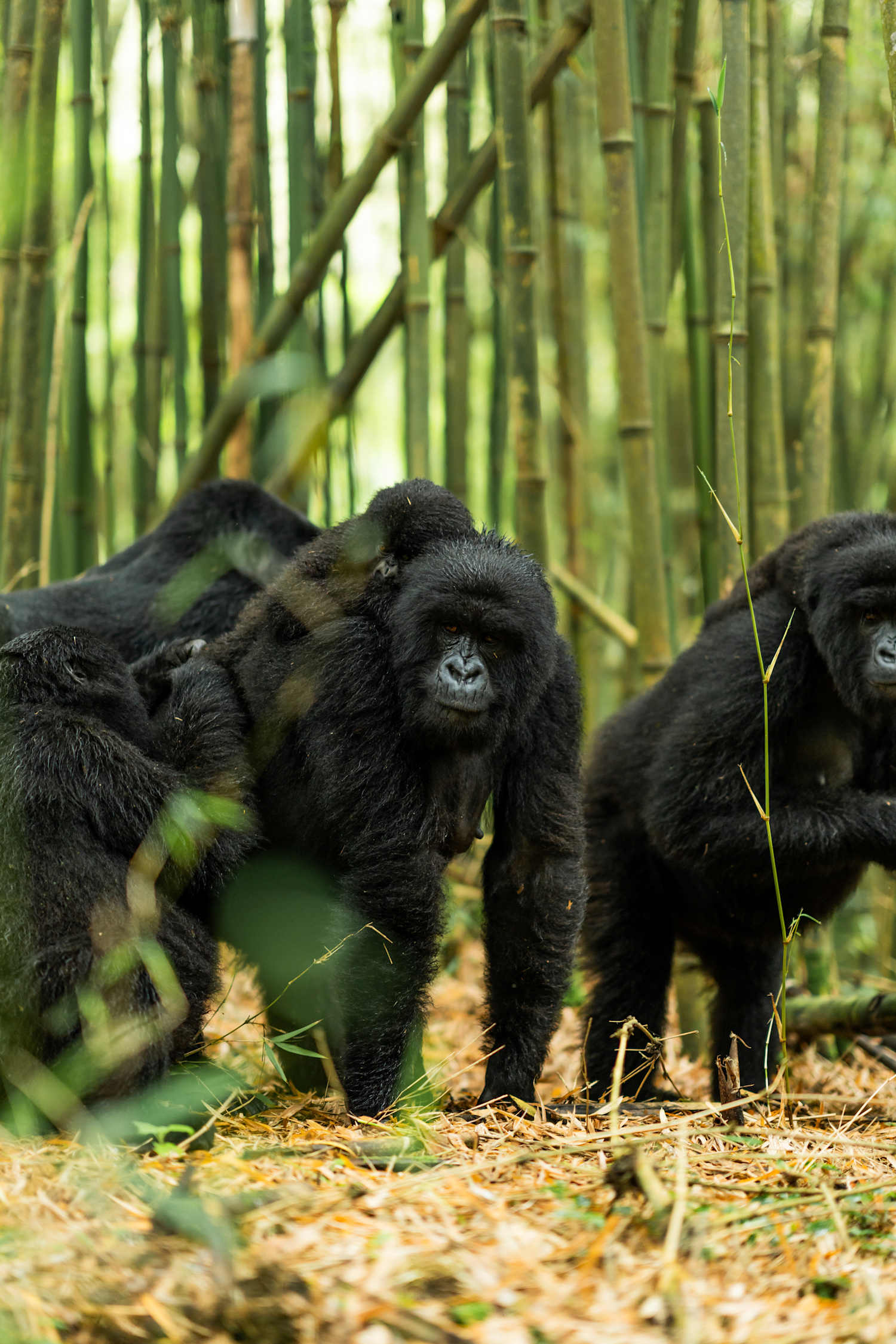 Guest Blog: Donah Mbabazi meets Theodore Kagame, an artisan keeping ...