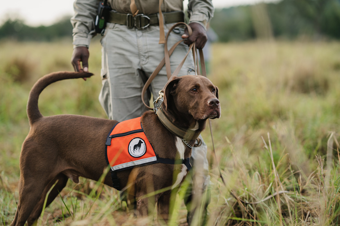Finding true wellbeing in Singita’s restorative spaces | Singita