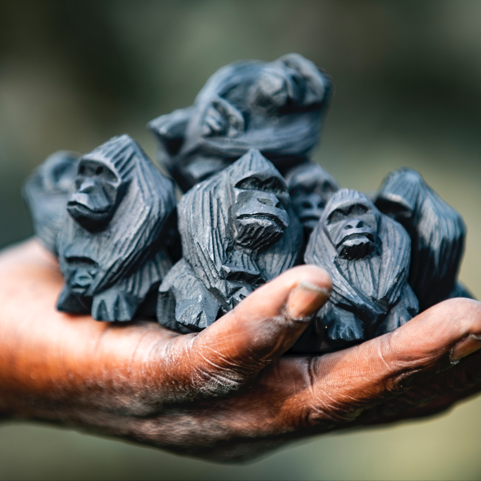 Singita Volcanoes National Park - a rich visual African landscape | Singita