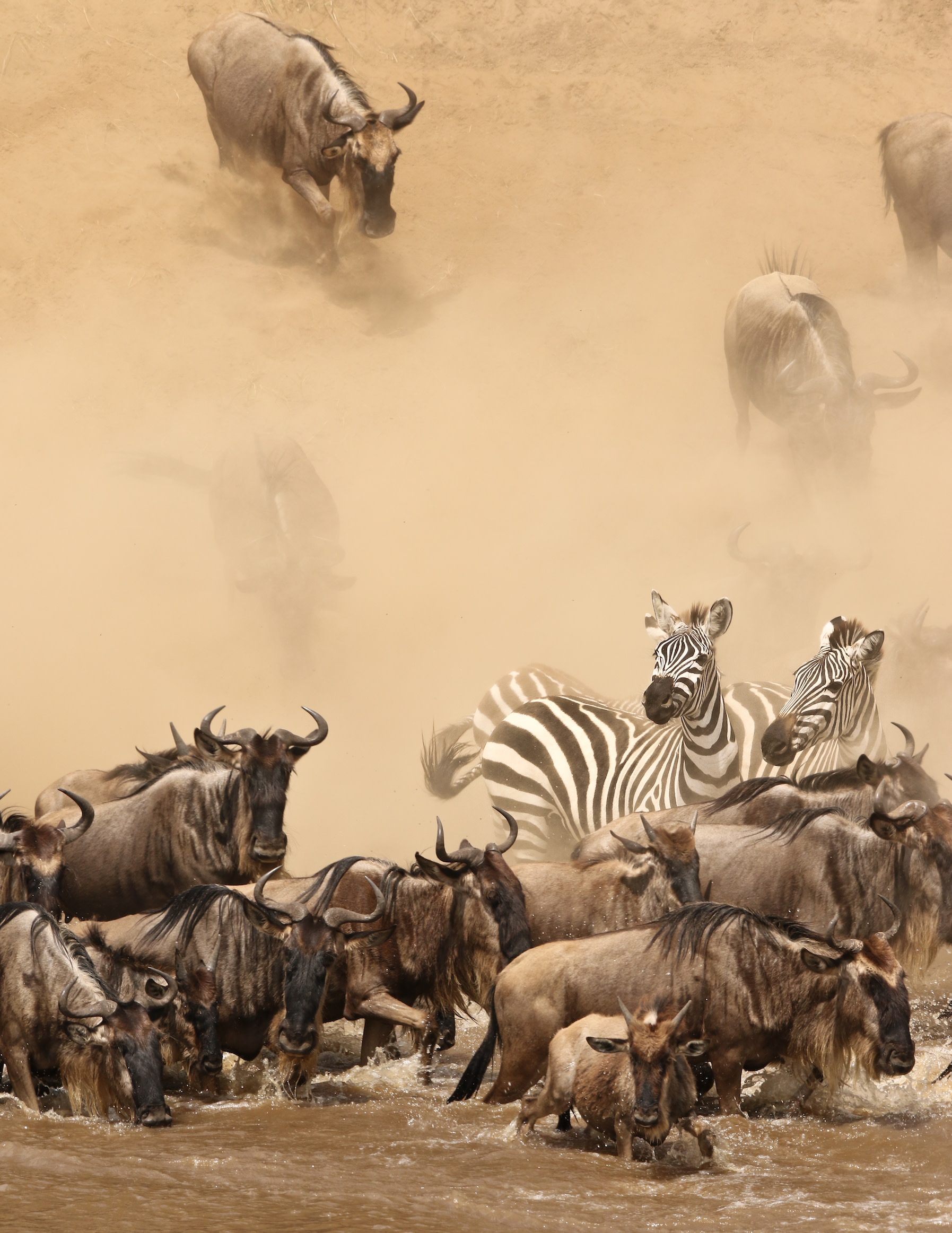 Nature’s most spectacular show – the Great Migration | Singita