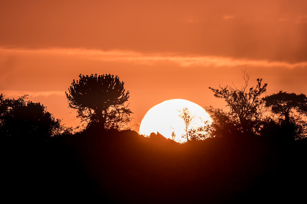 Guest Blog: Eric Taub revisits Ebony three decades later | Singita