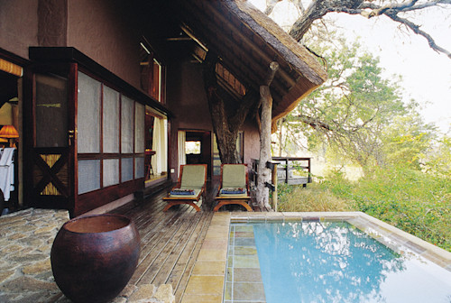 Guest Blog: Eric Taub revisits Ebony three decades later | Singita