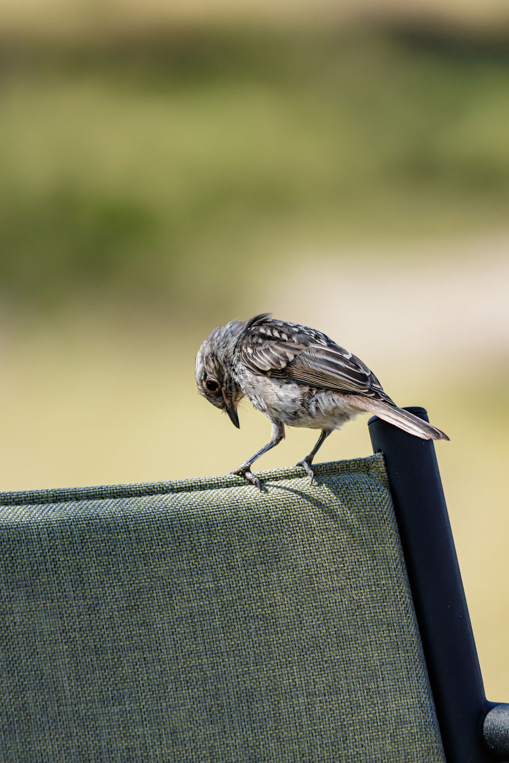 Reflecting on 2023 & looking to the future with purpose | Singita