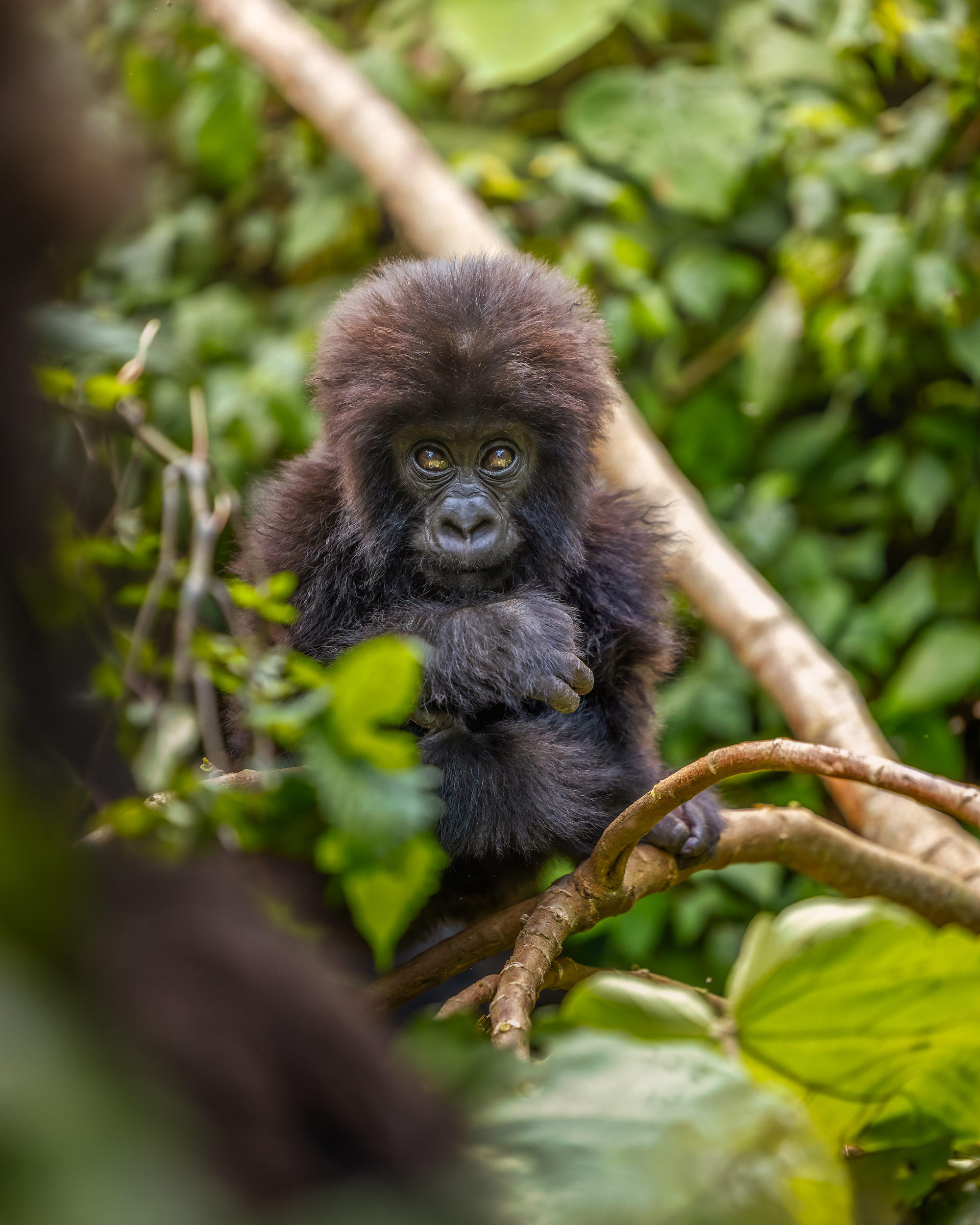 Guest Blog: Sharon Machira turns 30 with Singita