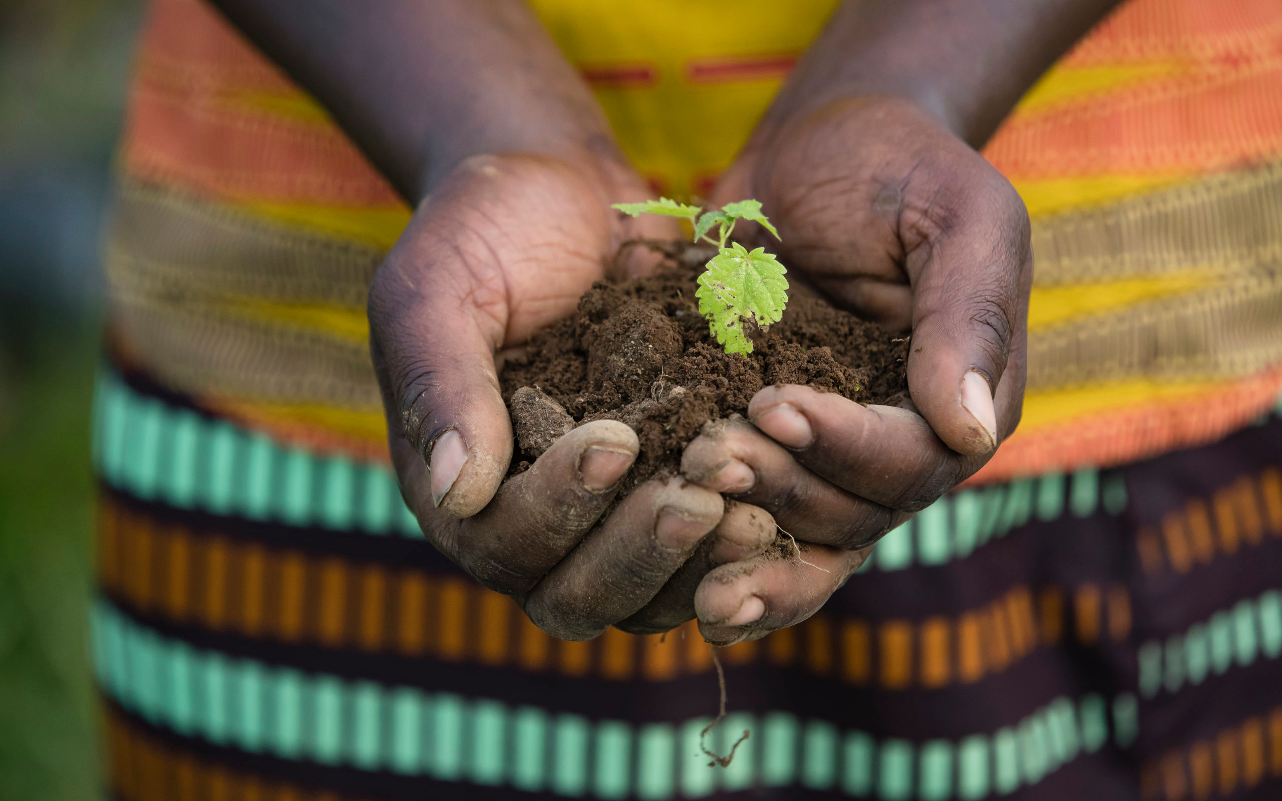 Akarabo Nursery and Garden | Singita