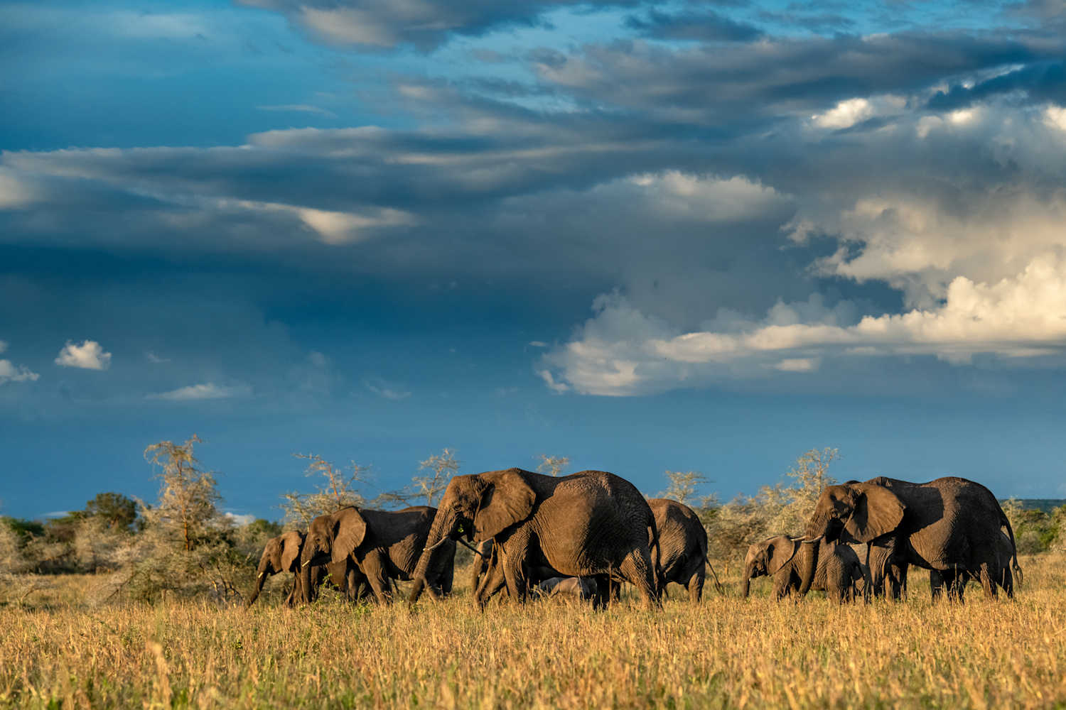 Singita Milele – unsurpassed exclusivity & privacy in the Serengeti | Singita