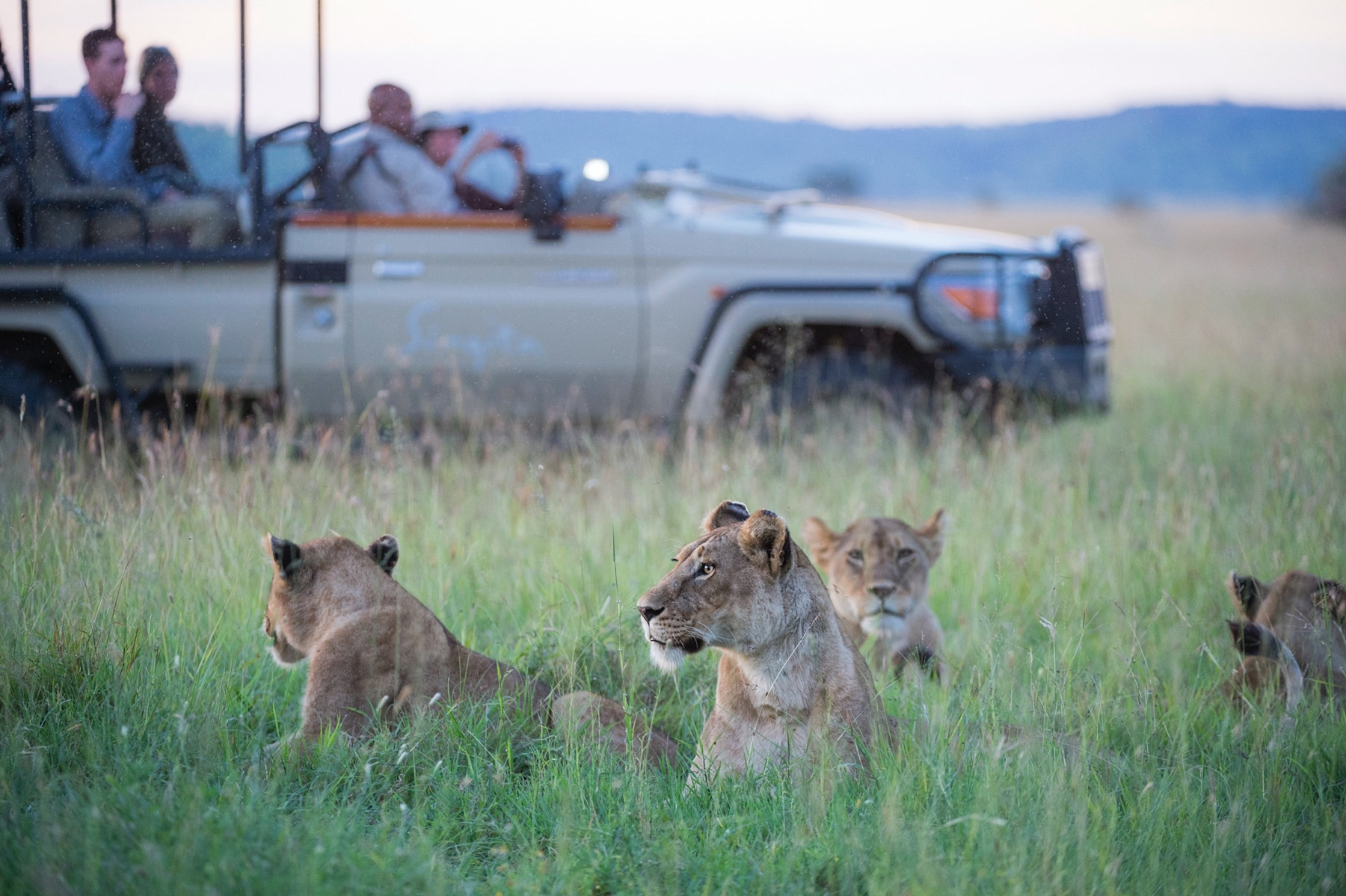 Gallery: Mara River Luxury Tented Camp & Safari | Lamai | Singita