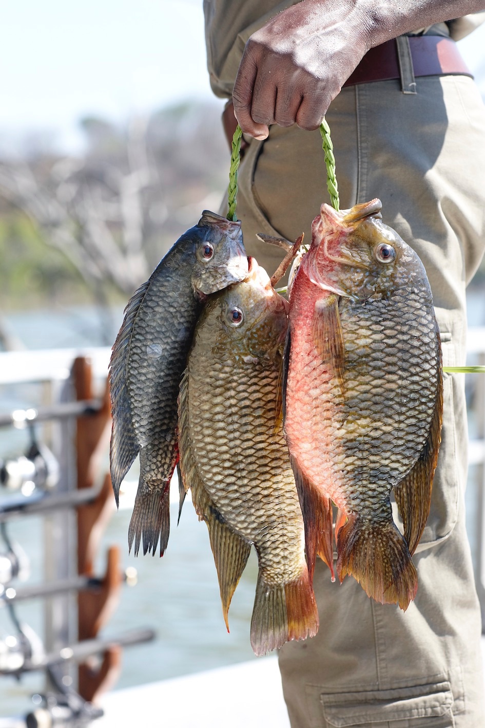 A spirit of celebration & connection – Singita’s food philosophy | Singita