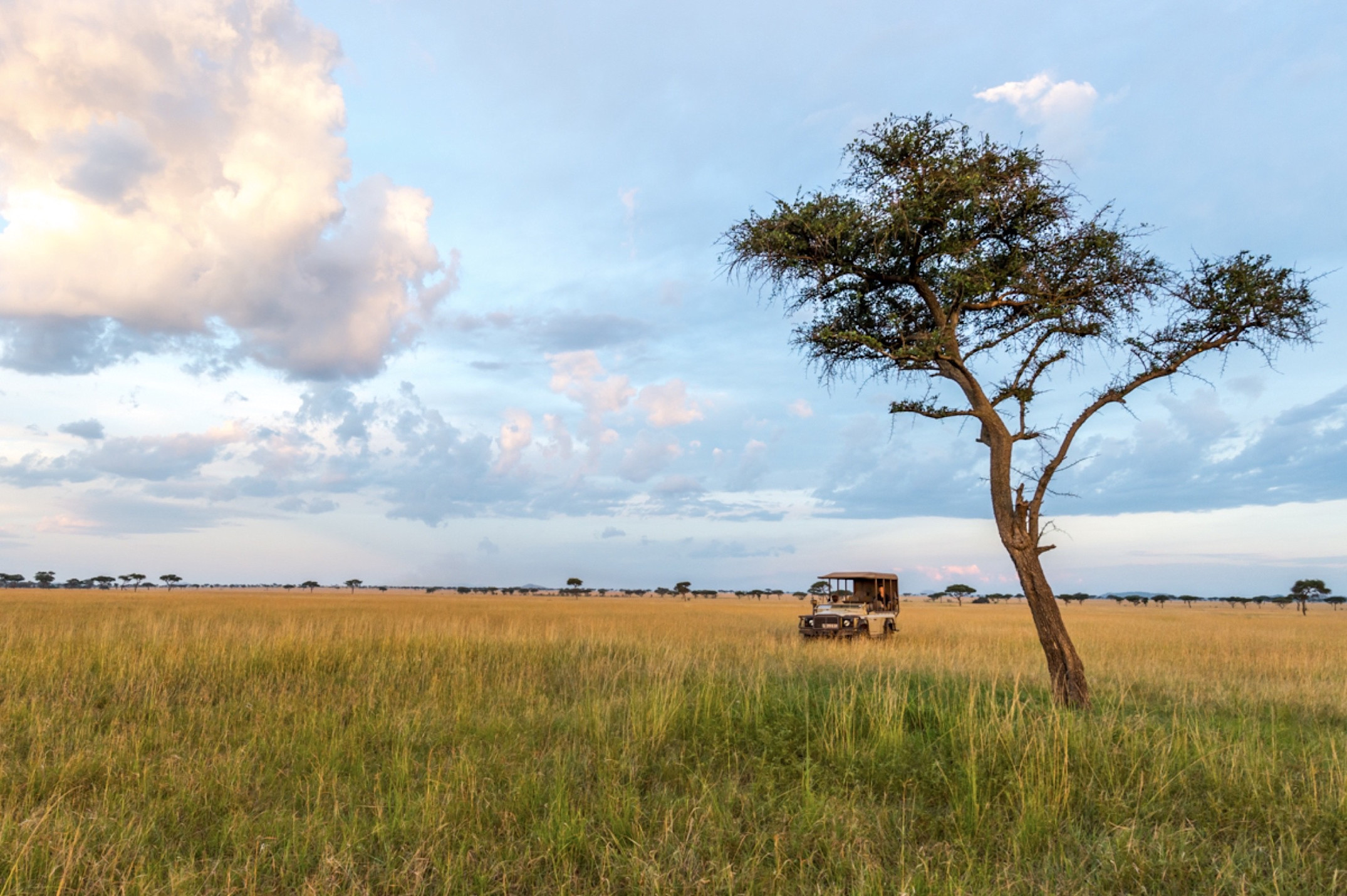 Wildlife Conservation in South Africa | Singita