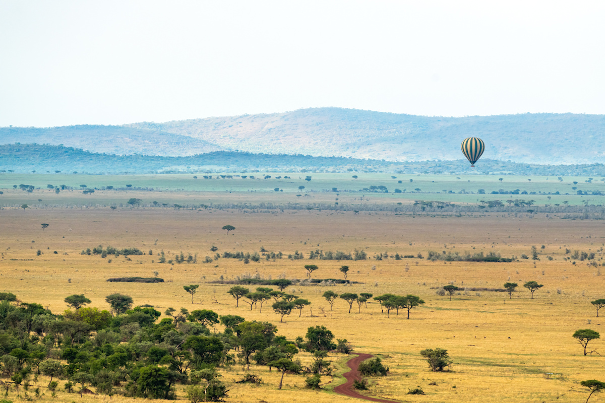 Milele Luxury Lodge & Safari | Photo & Video Gallery | Singita