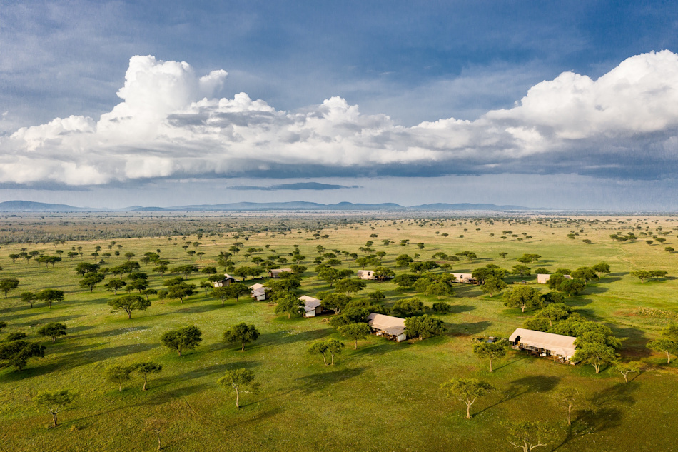 Wildlife Safari Lodges | African Luxury | Singita