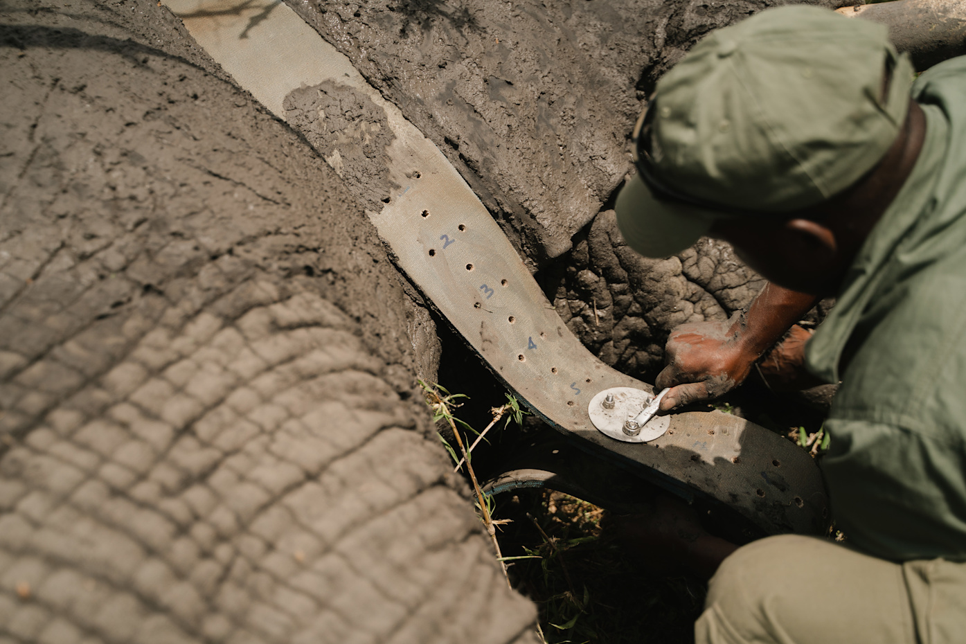 Human-Wildlife Conflict Mitigation | Singita