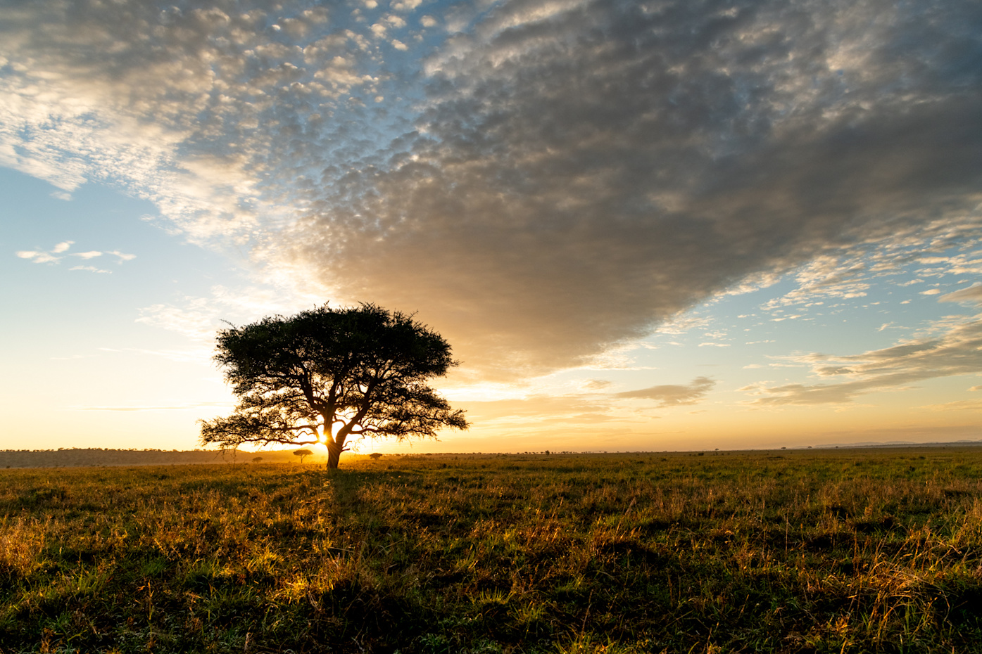 Milele Luxury Lodge & Safari | Tanzania | Singita