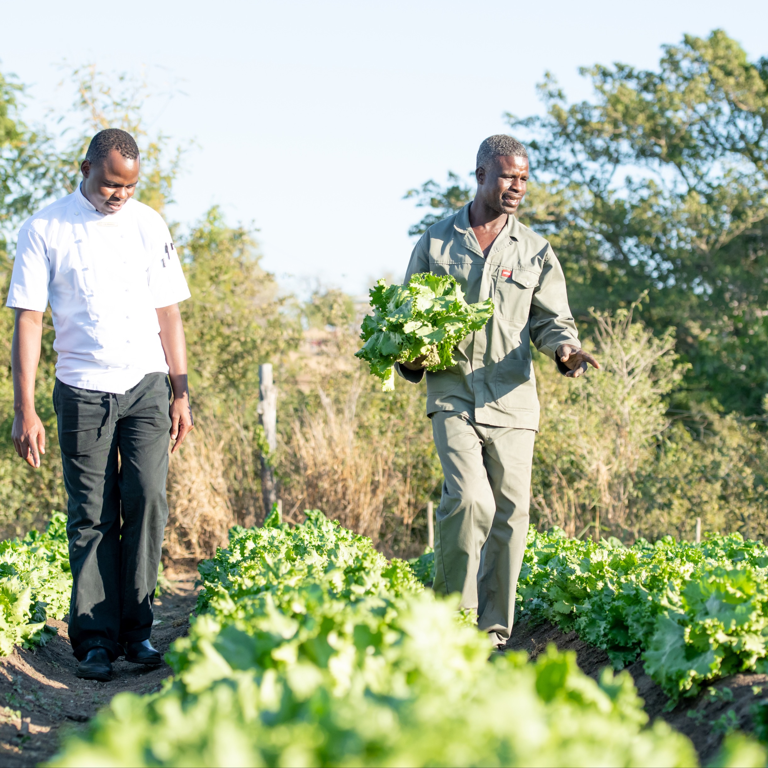 Wholesome & heartfelt – Singita’s holistic food philosophy | Singita