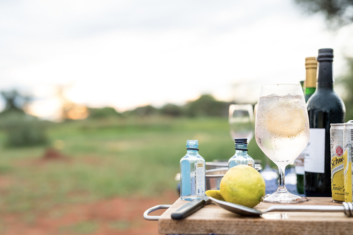 Malilangwe House Luxury Lodge & Safari | Photo & Video Gallery | Singita