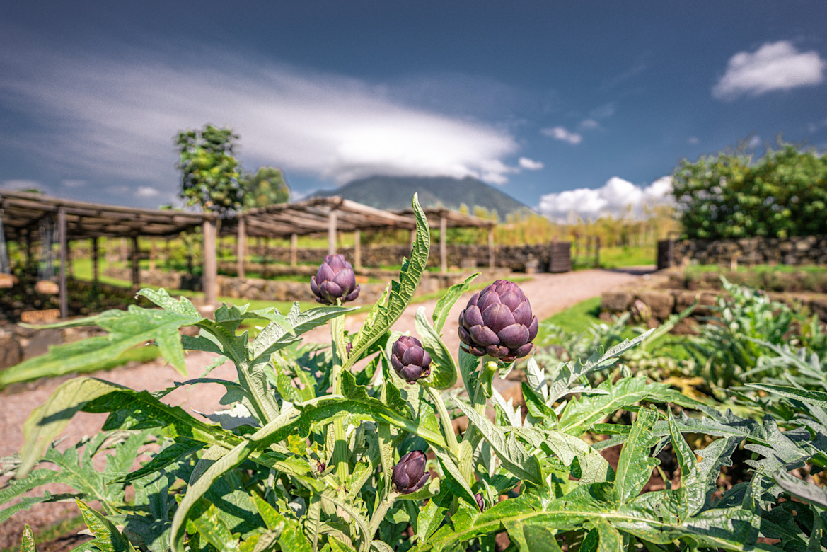 Kwitonda Luxury Lodge & Safari | Rwanda | Singita