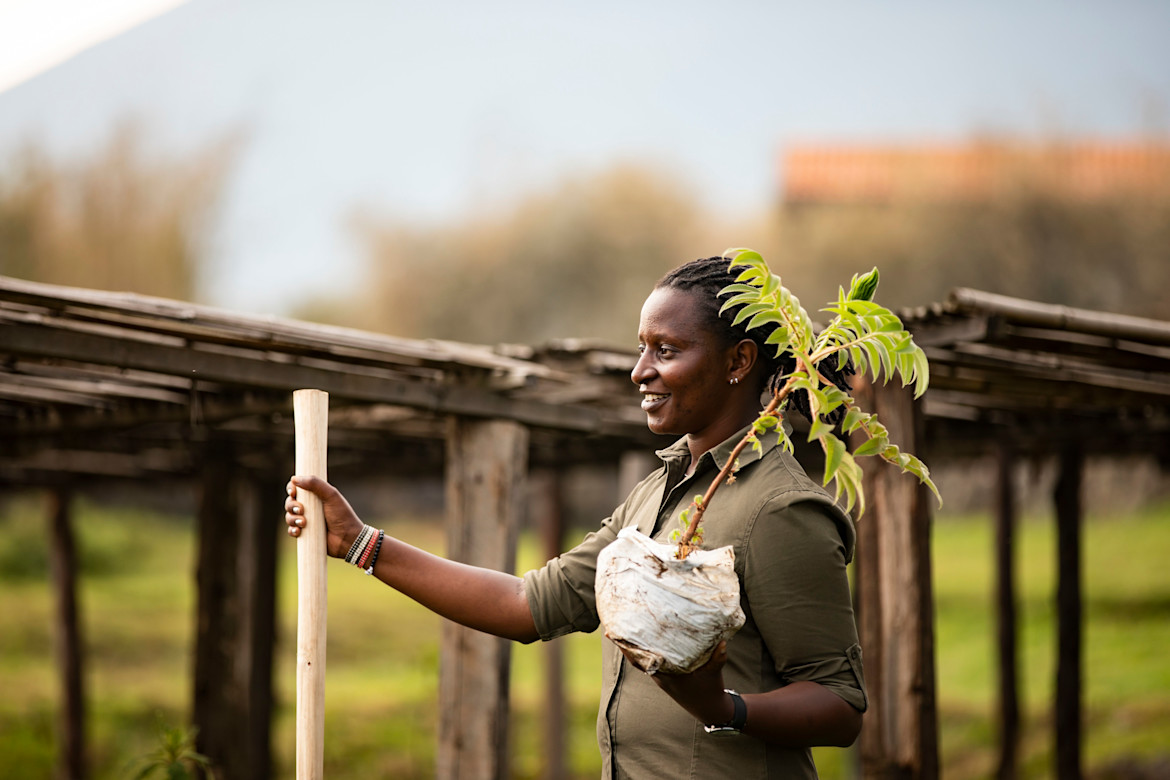Kwitonda Luxury Lodge & Safari | Volcanoes National Park | Singita