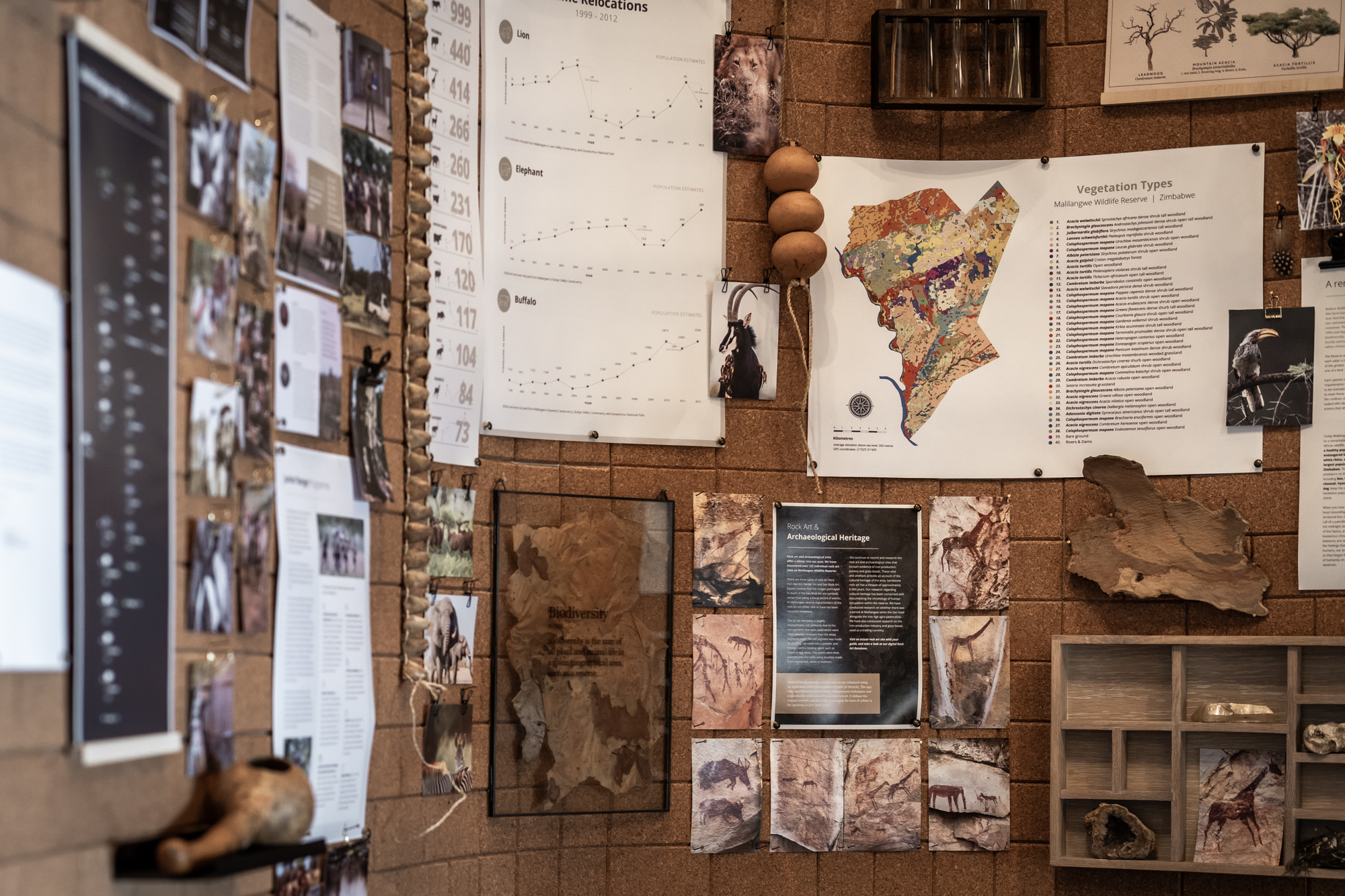Telling Singita Malilangwe's story – our new Conservation Room in ...
