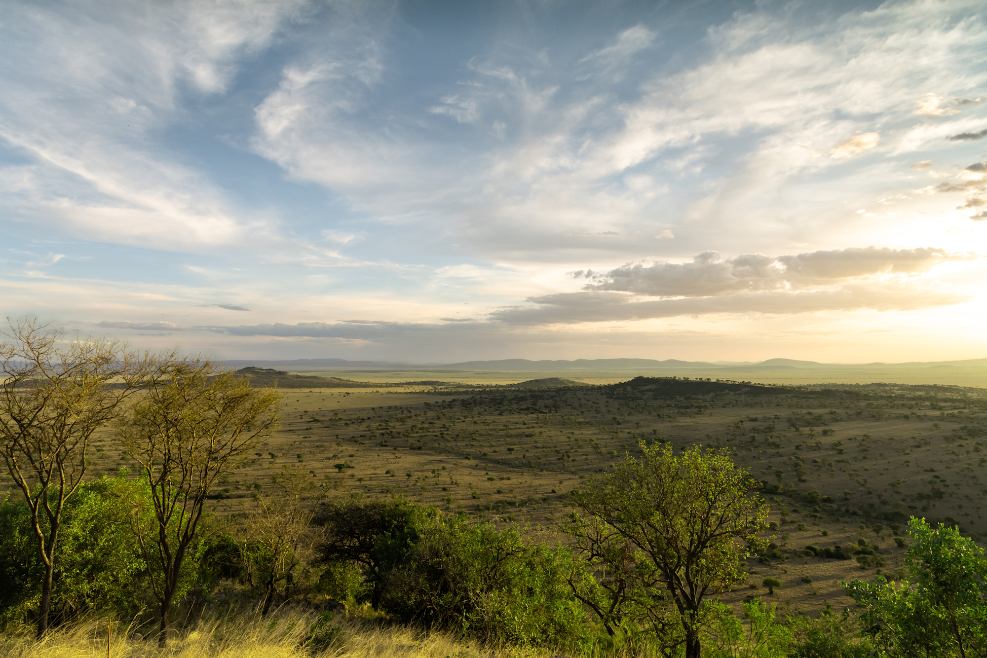 Opening May 2024 – Singita Milele, a private retreat in the Serengeti ...