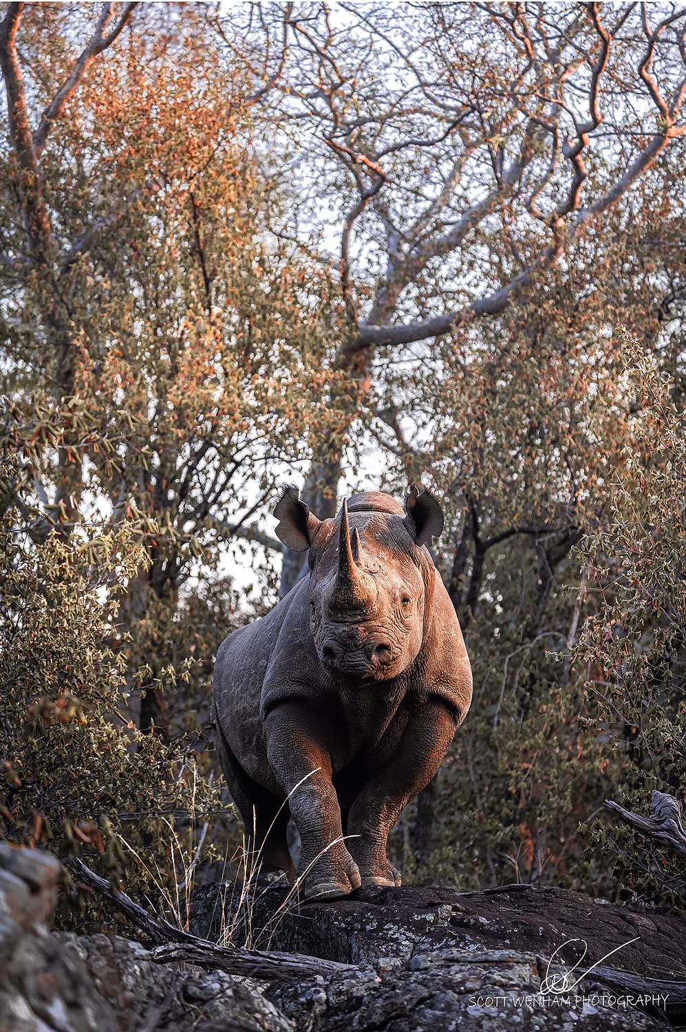 A camping trip never to forget | Singita