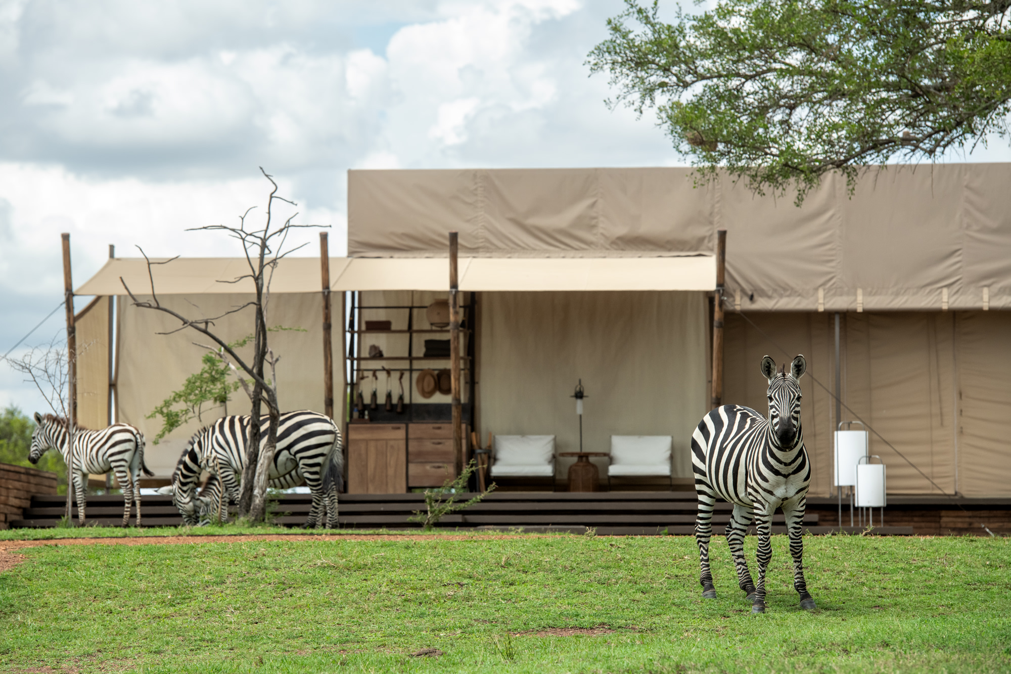 Sabora Luxury Tented Camp & Safari | Grumeti | Singita