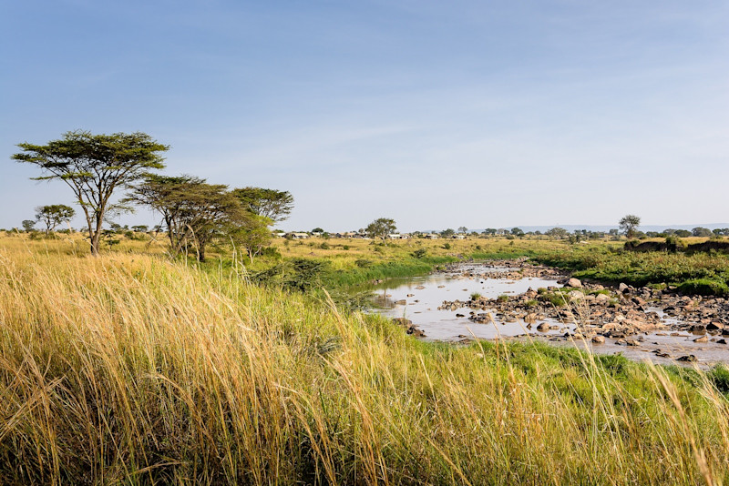 Singita Grumeti, Tanzania | Wildlife Safari Region | Singita