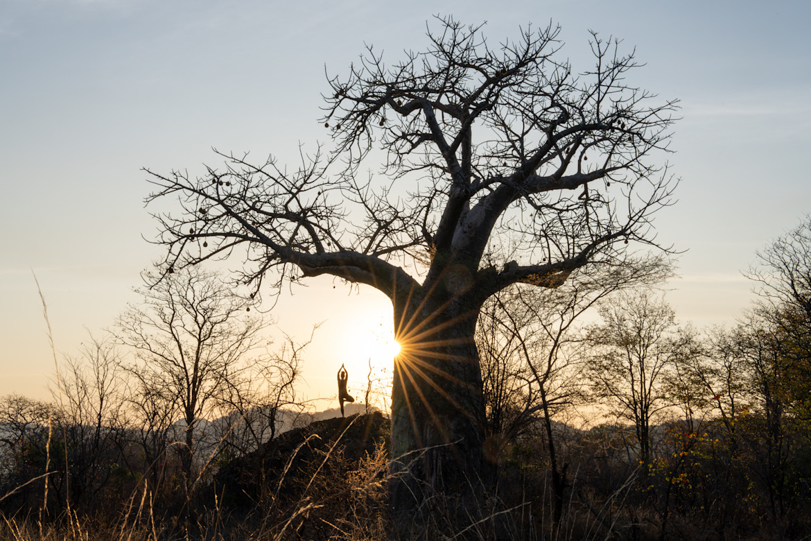 Malilangwe House Luxury Lodge & Safari | Malilangwe | Singita