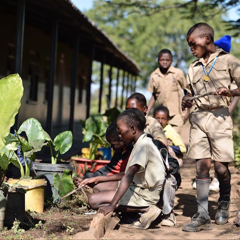 Committed to the future of Zimbabwe’s wild spaces | Singita