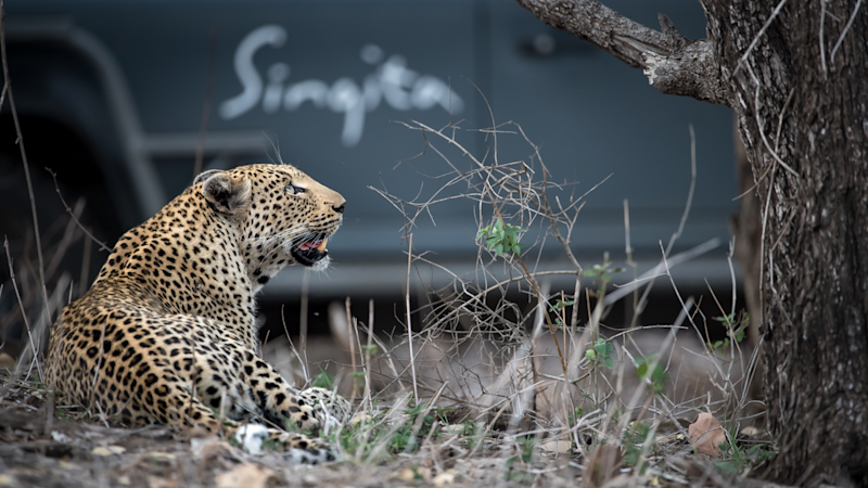 Luxury Safari Lodges | Photos & Videos | Singita