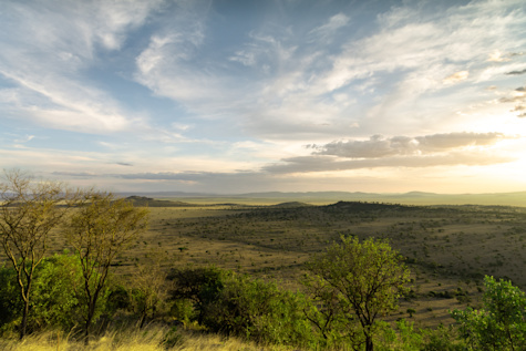 Milele Luxury Lodge & Safari | Grumeti | Singita