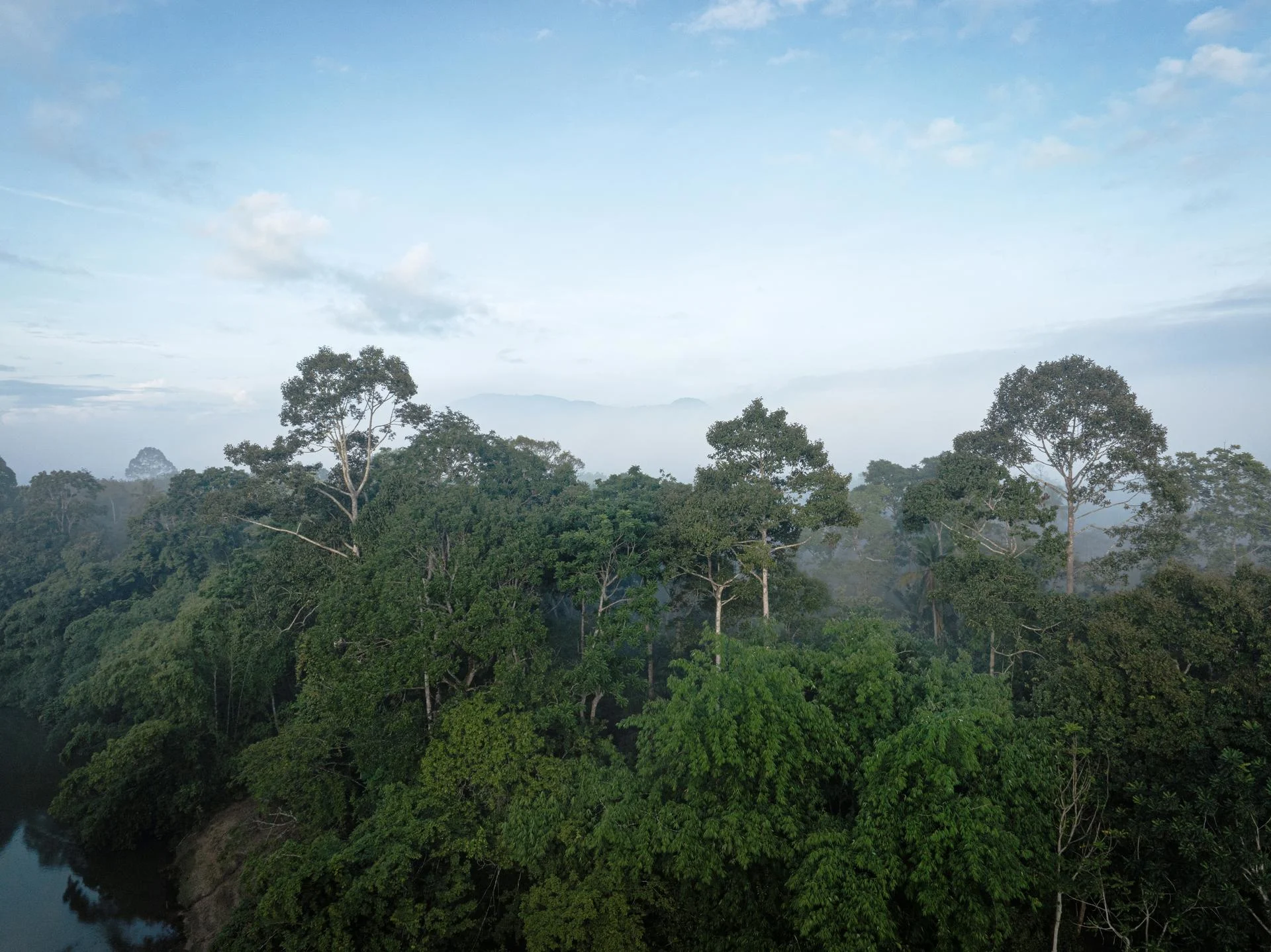 Vastuullisuus | Neste