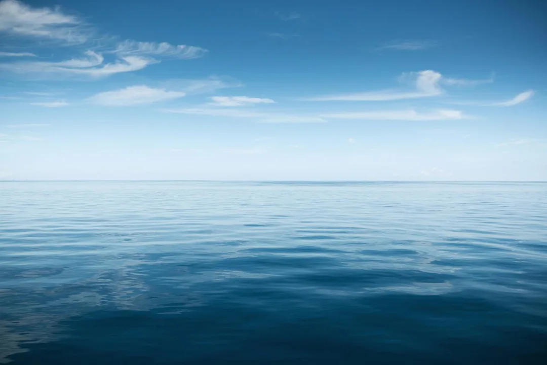 Neste’s Engineering Solutions completes its share connecting the ...