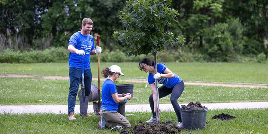 Bees, trees and other good deeds – what Neste does for the biodiversity ...