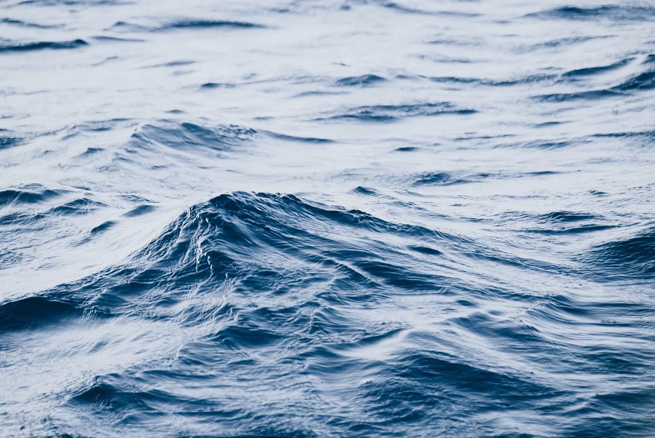Extensive monitoring of surface waters for more than 30 years | Neste