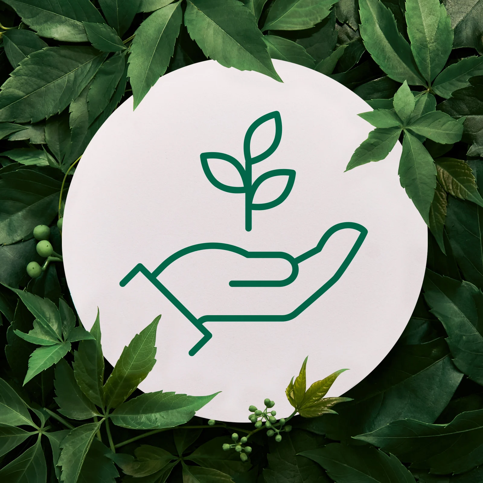 Top 5 sustainability trends of 2025 you need to know about | Neste