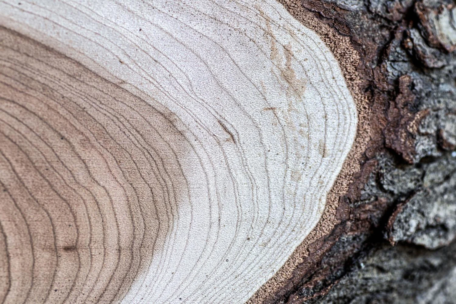 Optimistic colleague Charissa Zwik | Neste